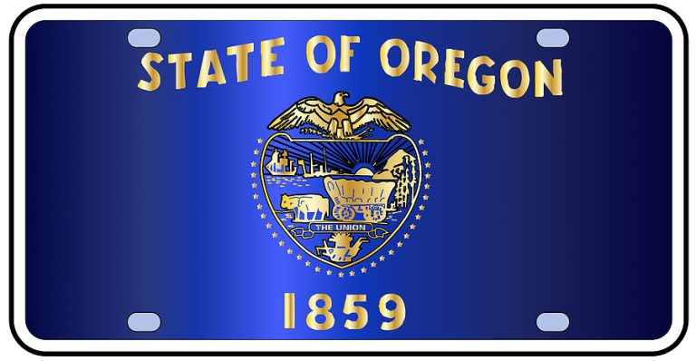 FREE Oregon License Plate Lookup - Search Any OR License Plate