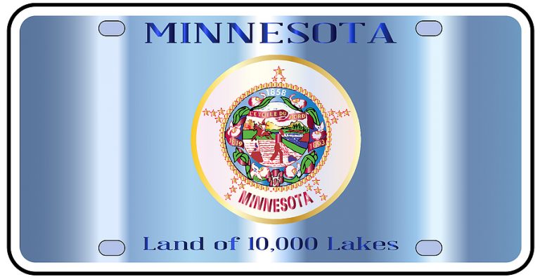 FREE Minnesota License Plate Lookup - Search Any MN License Plate
