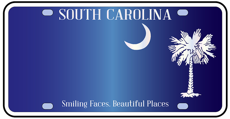 FREE South Carolina License Plate Lookup - Search Any SC License Plate