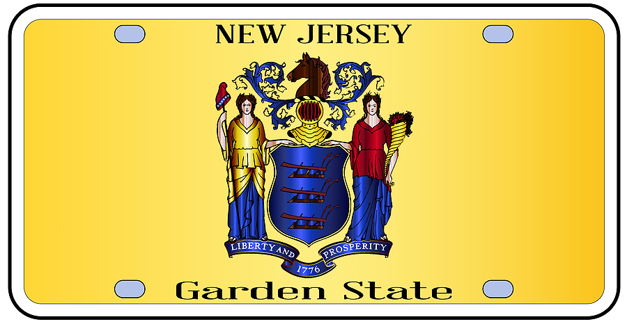 FREE New Jersey License Plate Lookup - Search Any NJ License Plate