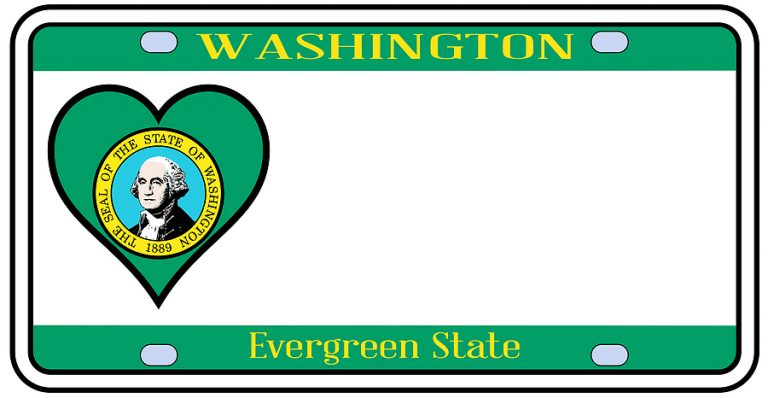 FREE Washington License Plate Lookup - Search Any WA License Plate